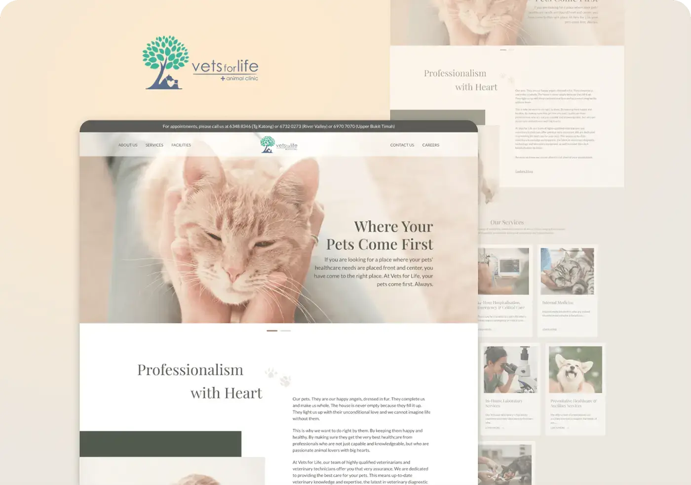Development Portfolio | Vets For Life