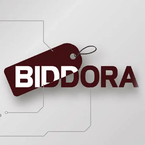 Development Portfolio | Biddora