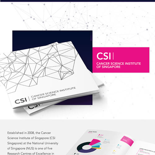 Development Portfolio | CSI Brochure Design