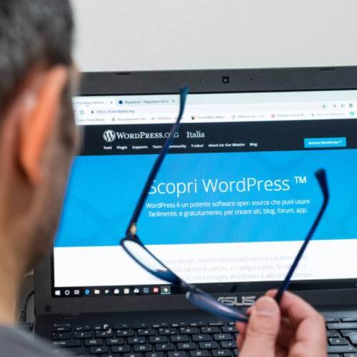 WordPress Web Developer in Singapore